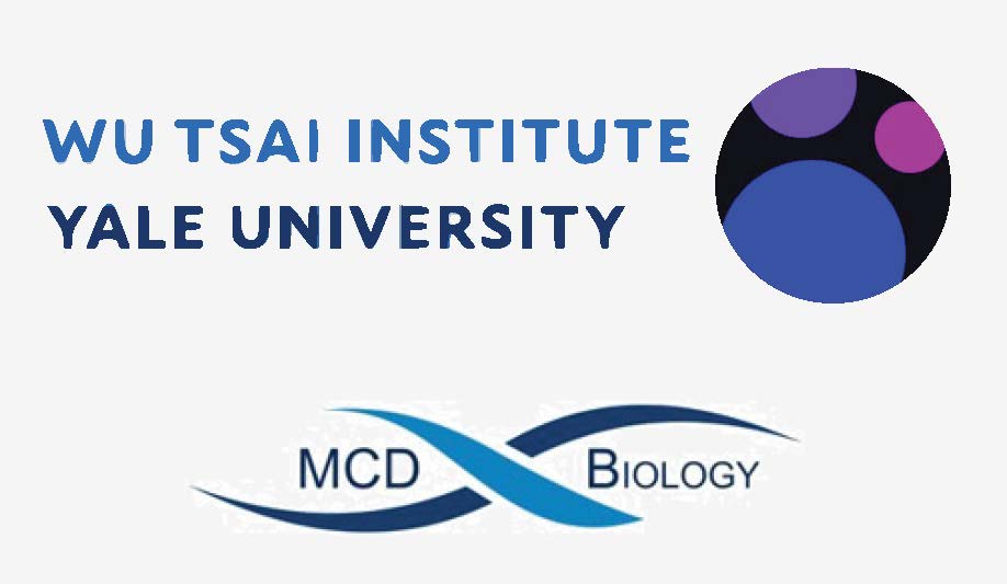 Research – McNamara Lab at Yale